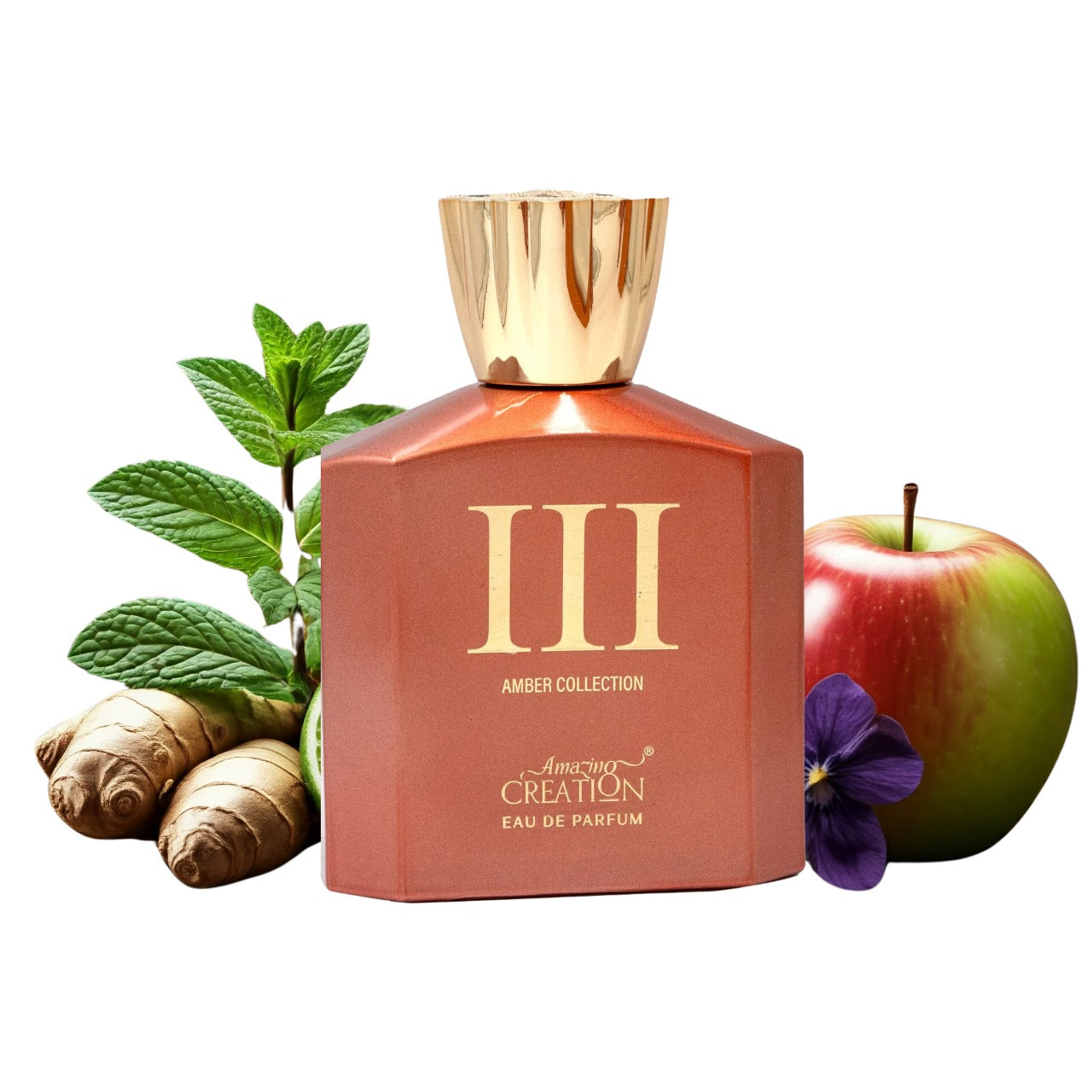Amazing Creation Amber Collection III EDP 100ml – DubaiOudh